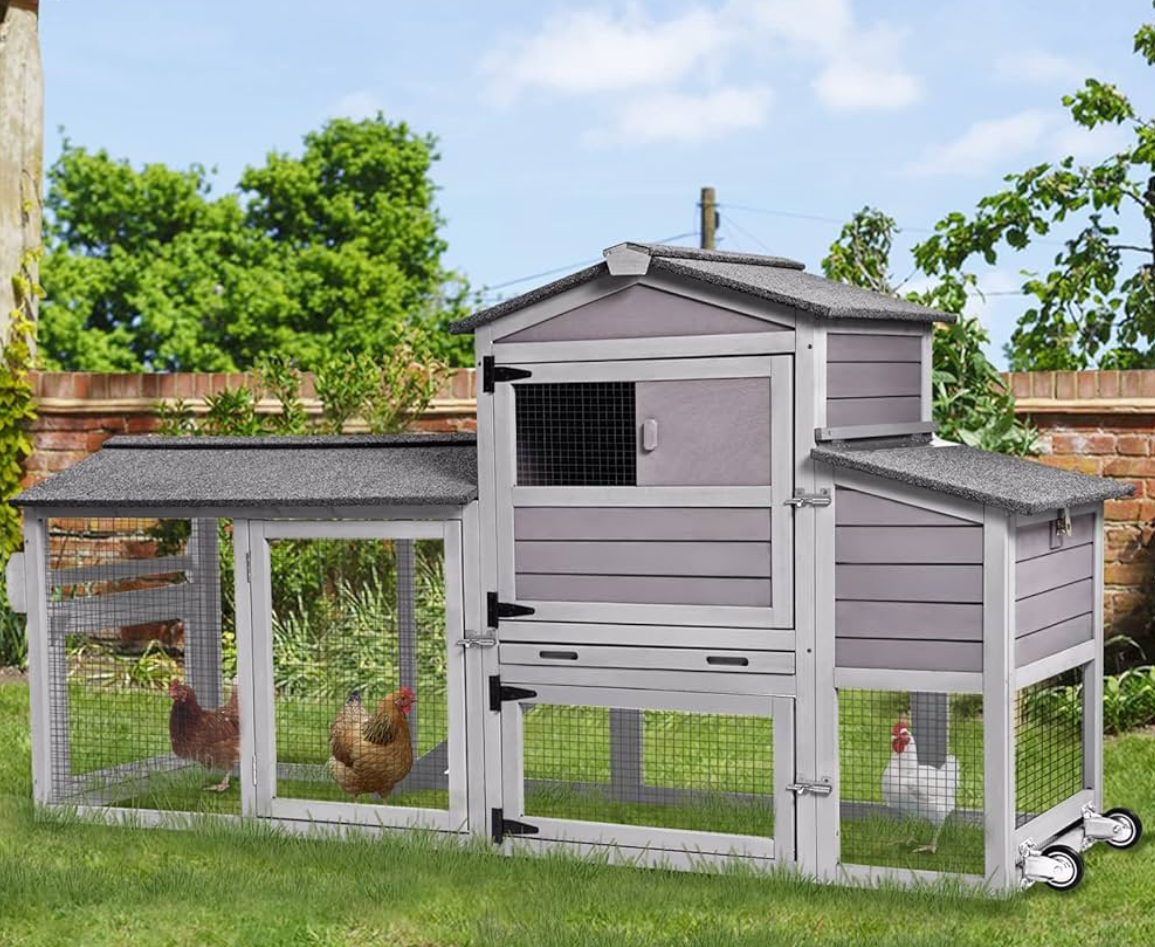 Chicken Tractor For Your Flock . - All About Raising Chickens
